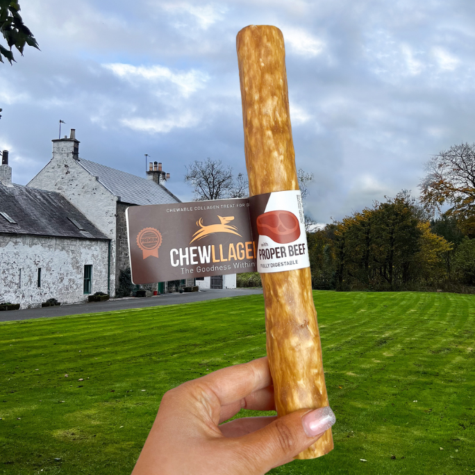 Chewllagen Beef Roll 10” – Natural Dog Chew