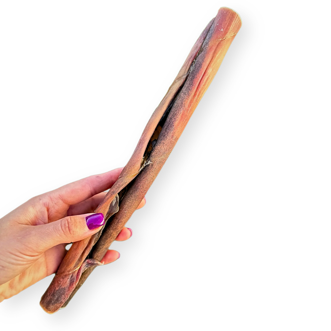 Large Camel Skin Roll 30cm – Natural Dog Chew