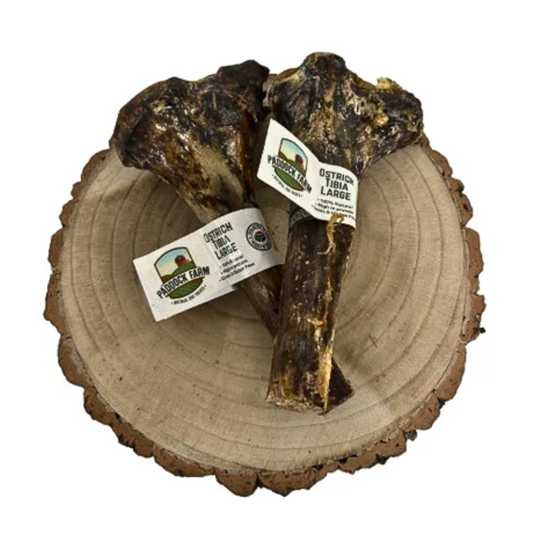 Ostrich Large Tibia Bone – Natural Dog Chew