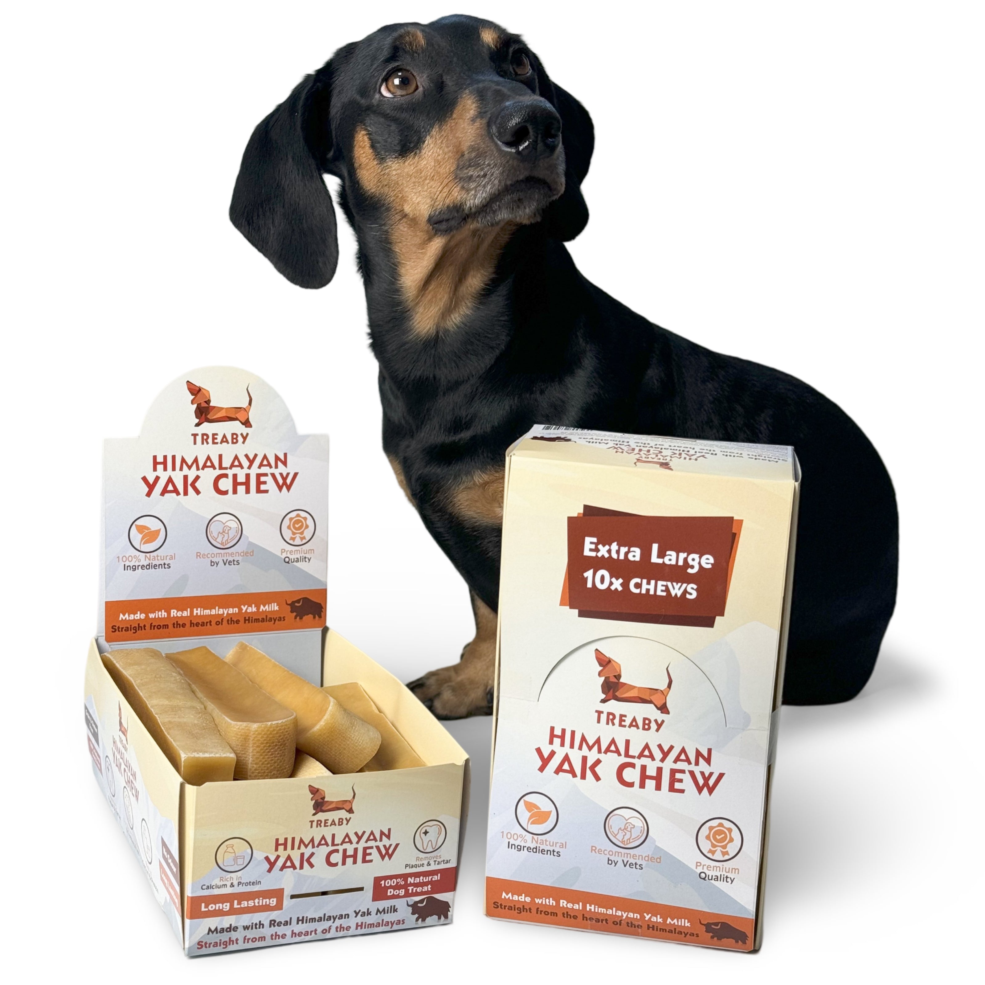 TREABY Himalayan Yak Chew Box -Extra Large ( pack of 10) – Natural Dog Chew