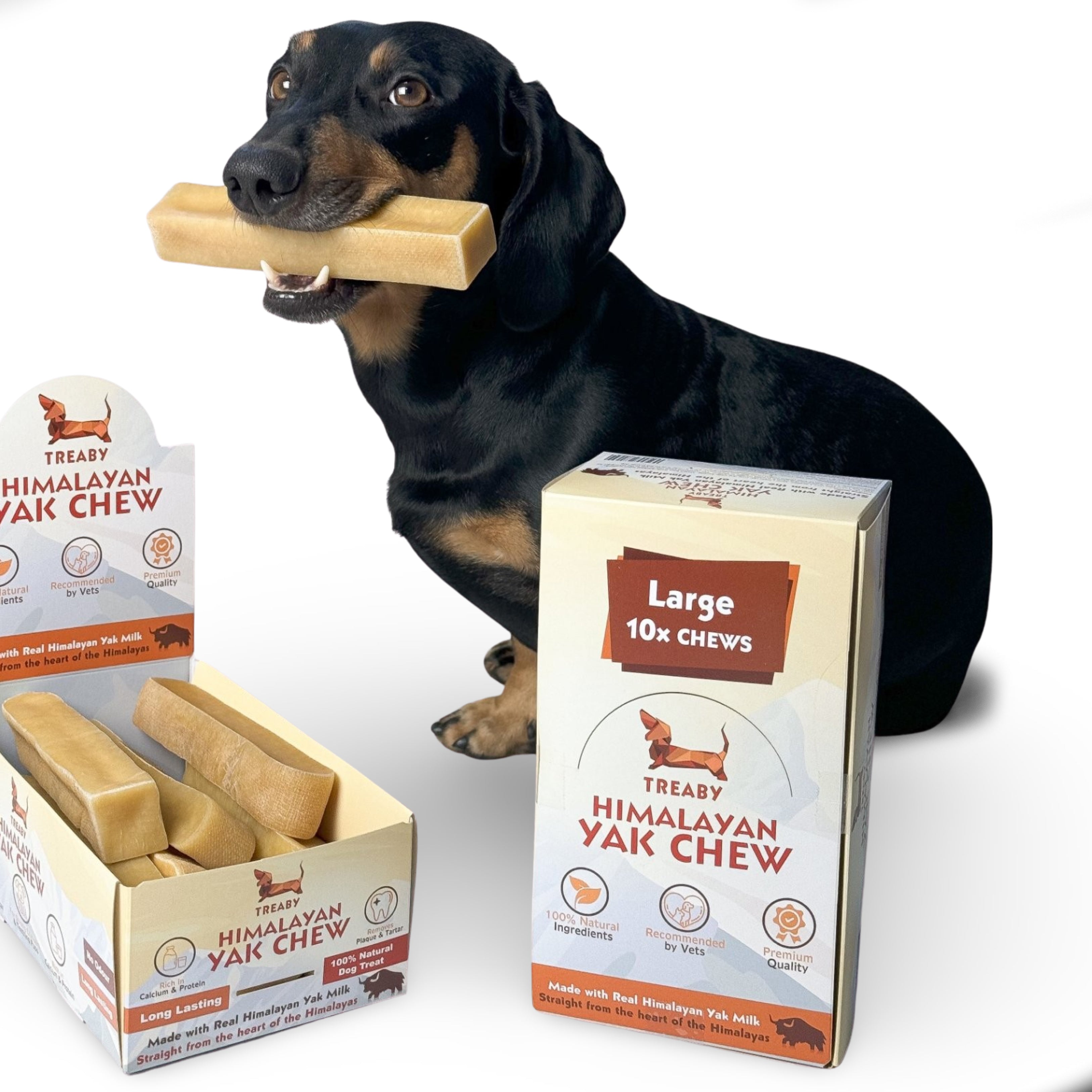 TREABY Himalayan Yak Chew Box - Large ( pack of 10) – Natural Dog Chew